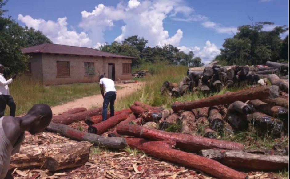 Bois rouge : une possible de reprise d'exploitation à l'étude dans le ...