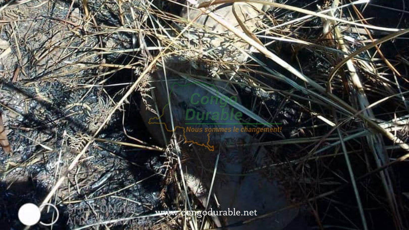 Kalamba/Lualaba: Des présumés sorciers mis à mort par le feu - Congo ...